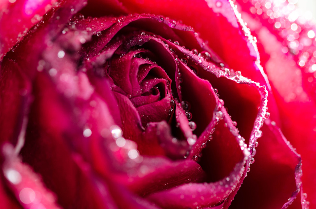 Nature by 500px – Medlinyelle