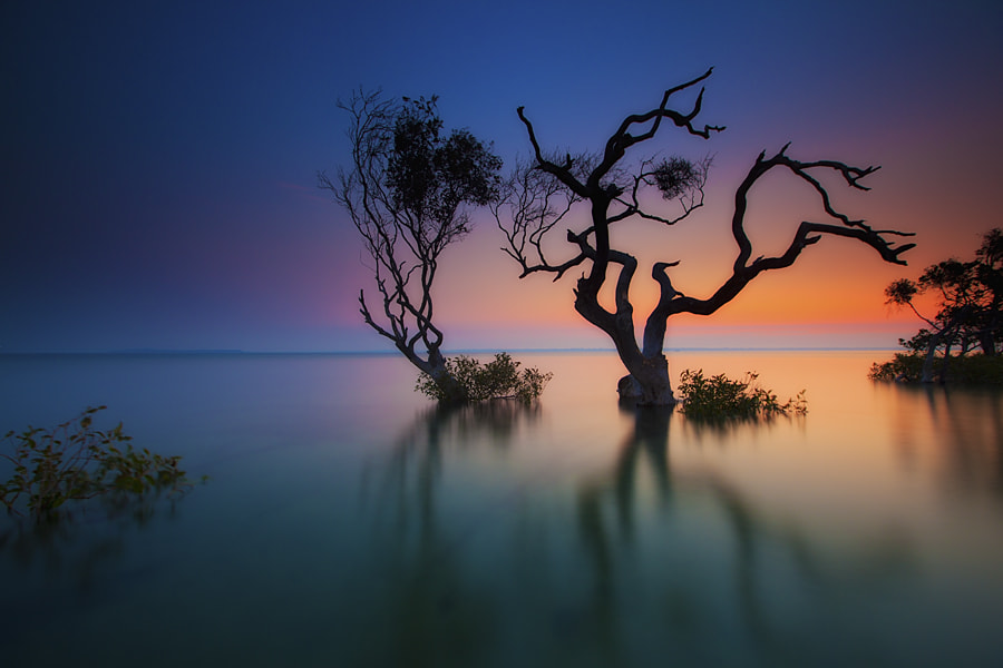 Is this the real life? Is this just fantasy? by Garry Schlatter / 500px