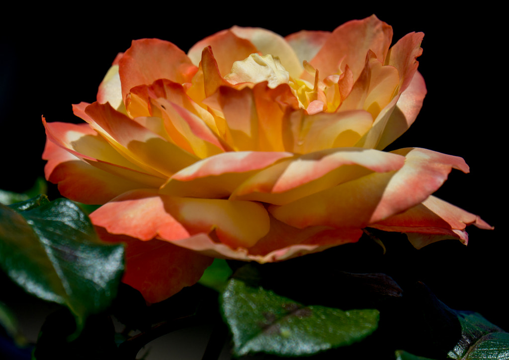 Soft warm by Marcela de Lima / 500px