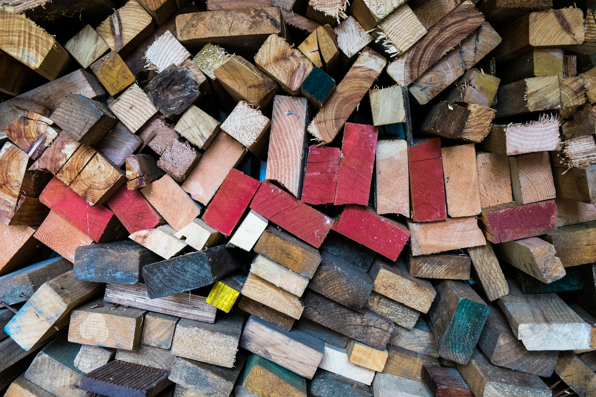 Red Wood by Ryan Trussler / 500px