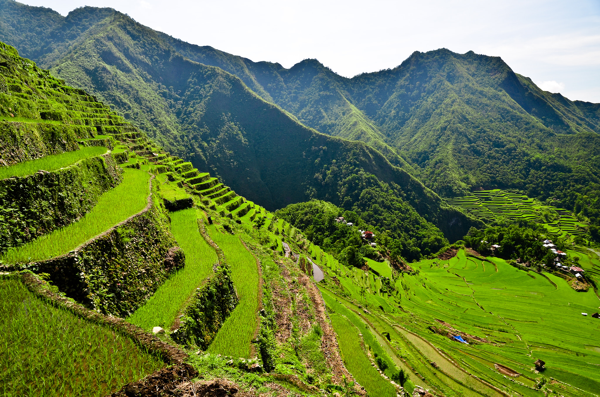 Batad Rice Terraces, Philippines - Up Close by Emilio III / 500px