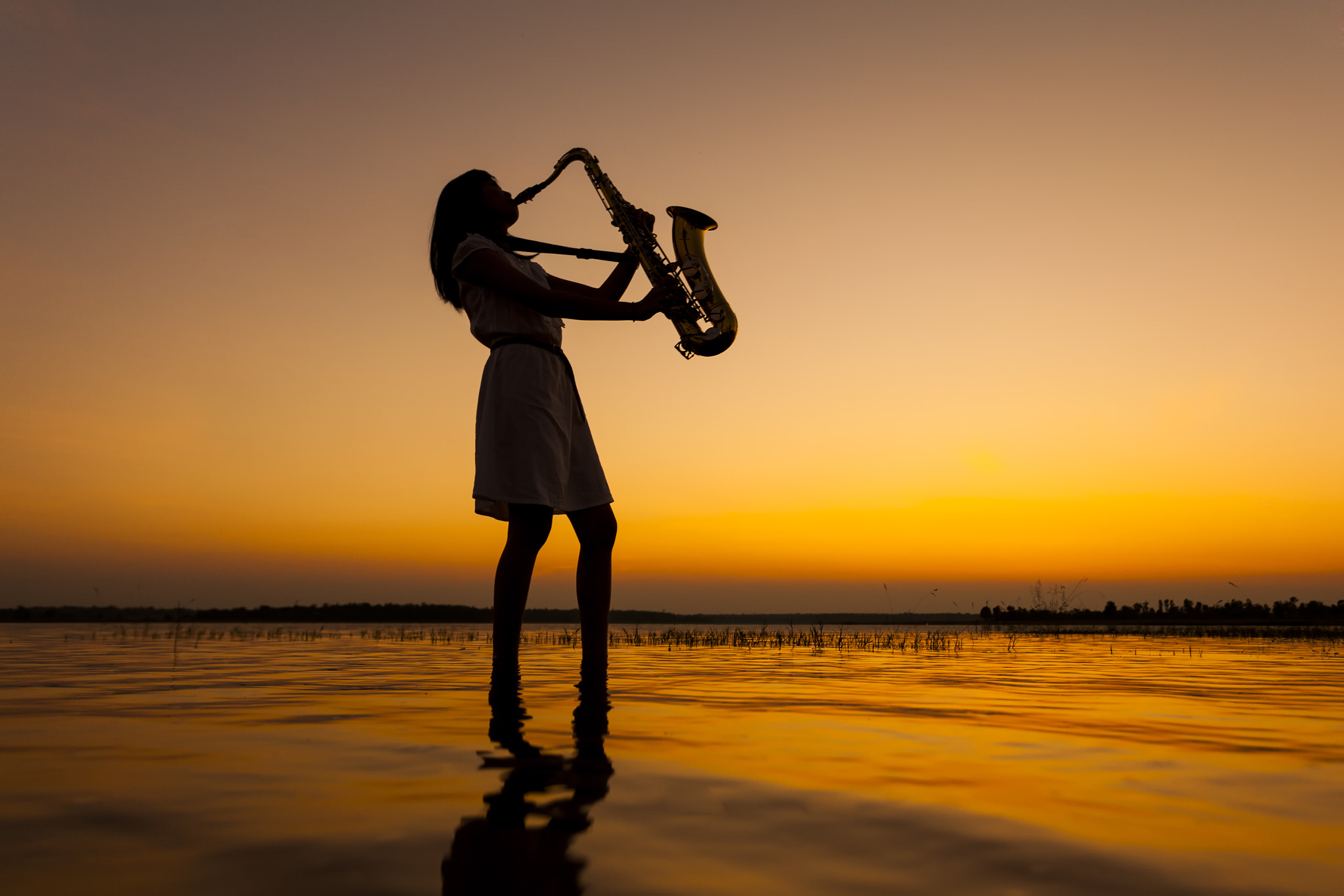 Saxophonist playing on saxophone against the background of sunset by ...