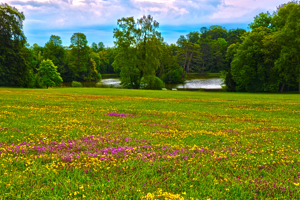 Les Fontaines meadow by Andreas Sjostrom / 500px Les Fontaines meadow by Andreas Sjostrom / 500px