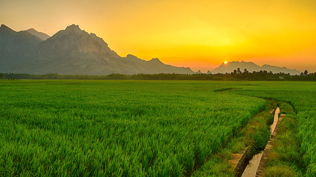 Western Ghats by Arun Siddharth / 500px