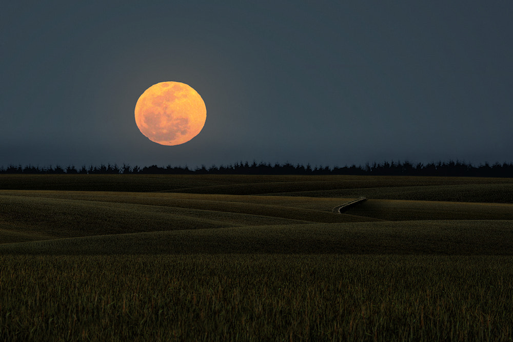 Supermoon Rising by Carlos Gotay / 500px