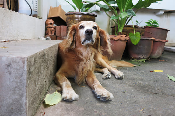 shin by Aki Kurokawa / 500px