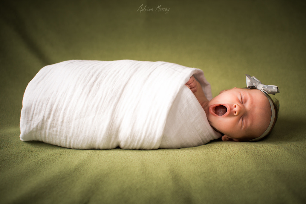 New Yawn by Adrian C. Murray / 500px