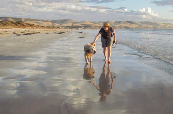 Reflections in Silver Sands by Susan Freeman | 500px
