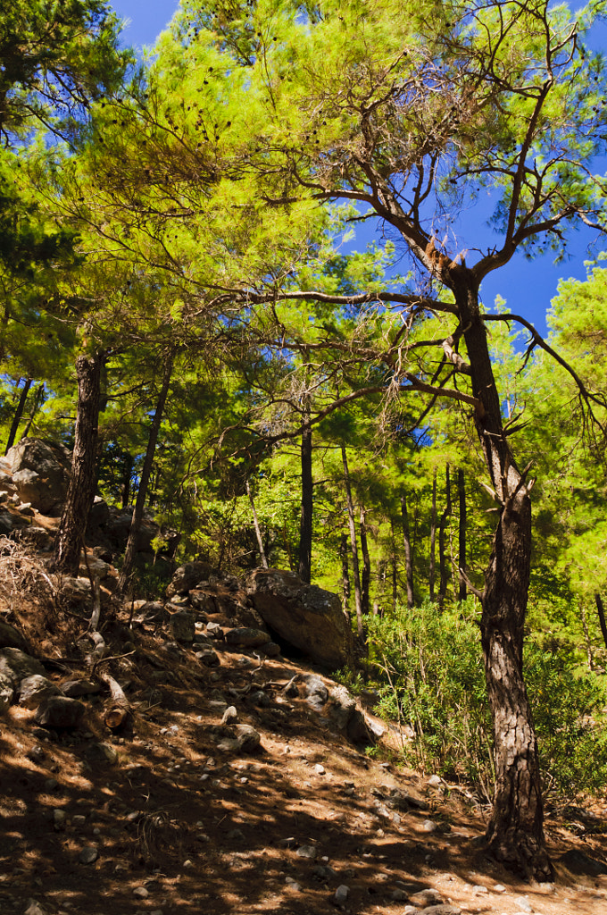 Samaria Gorge, island of Crete, Greece by Constantin Stanciu / 500px