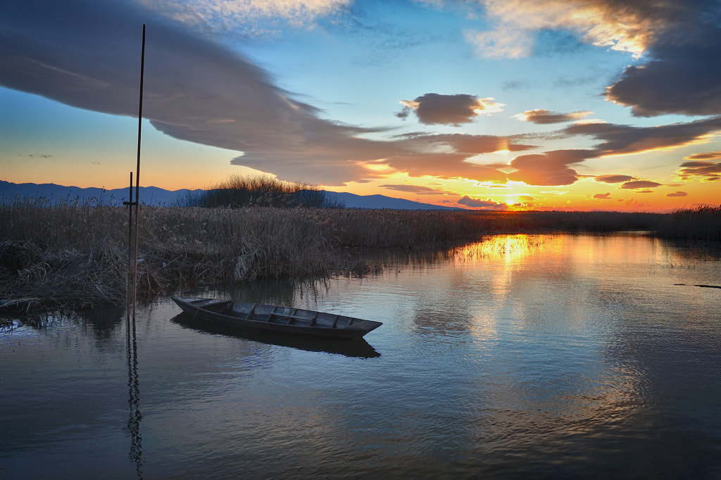Landscape on the Swamp by Giacomo Baldi / 500px
