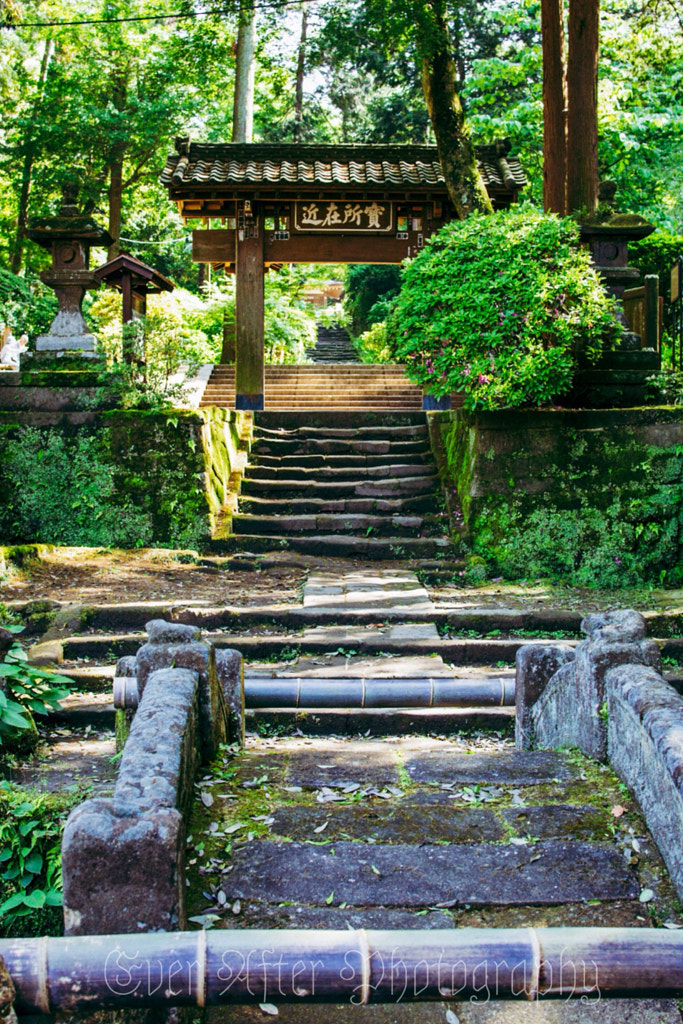 Jochi-Ji Temple Kamakura by Ashley Schulte / 500px
