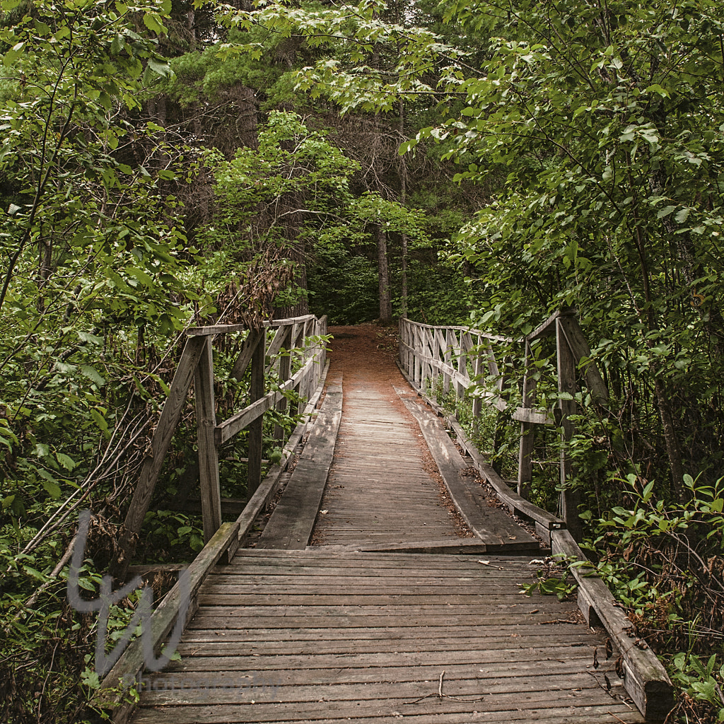 Bridge to Paradise by Laura Wichman / 500px