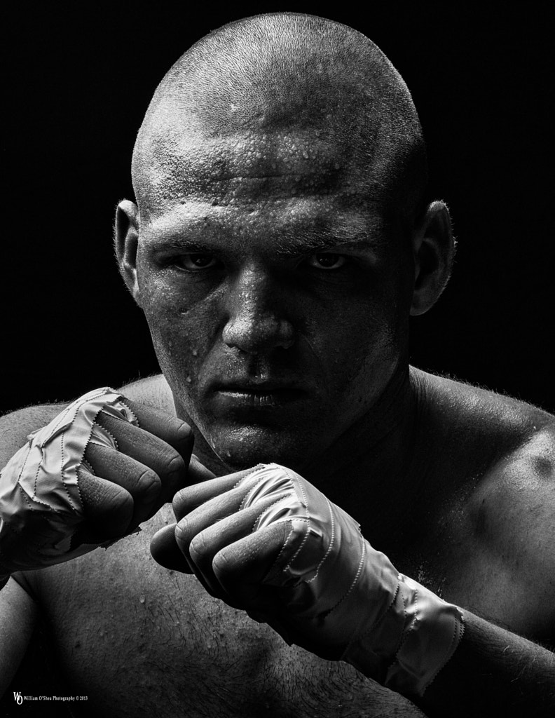 The Boxer series- part 2 by William OShea / 500px