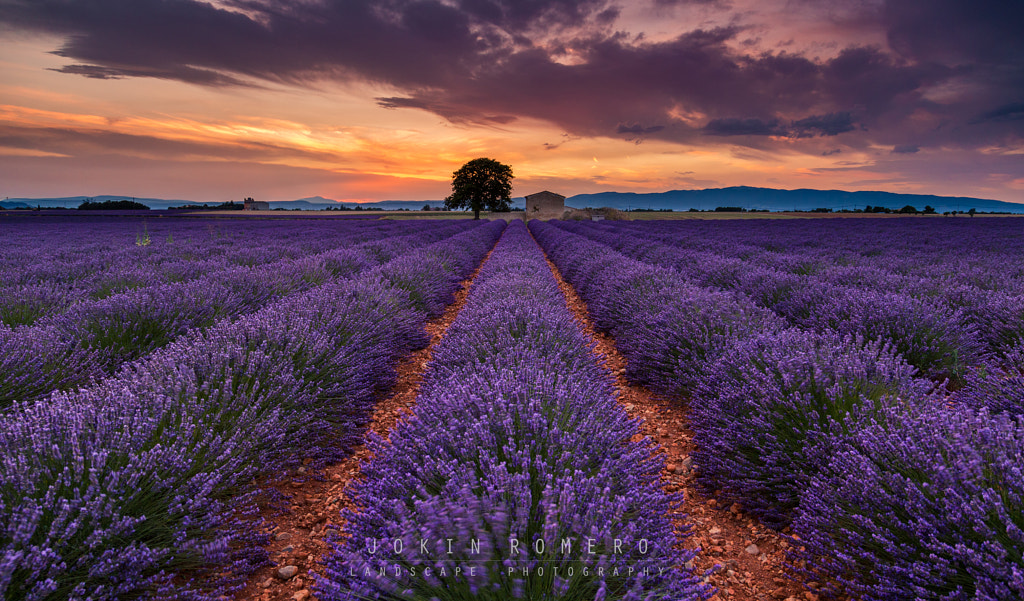 Colorful fields by Jokin Romero / 500px