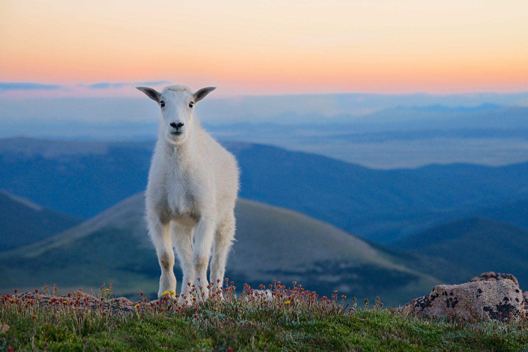 Tom Redd (TomRedd) Photos / 500px