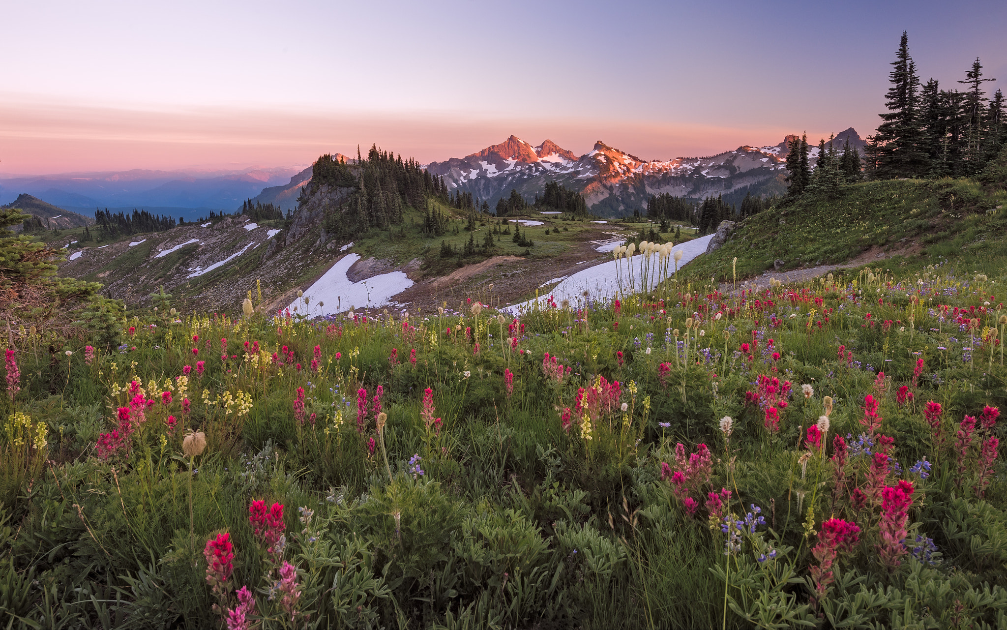 Mazama Ridge Wildflower Sunset by Ray Green | 500px