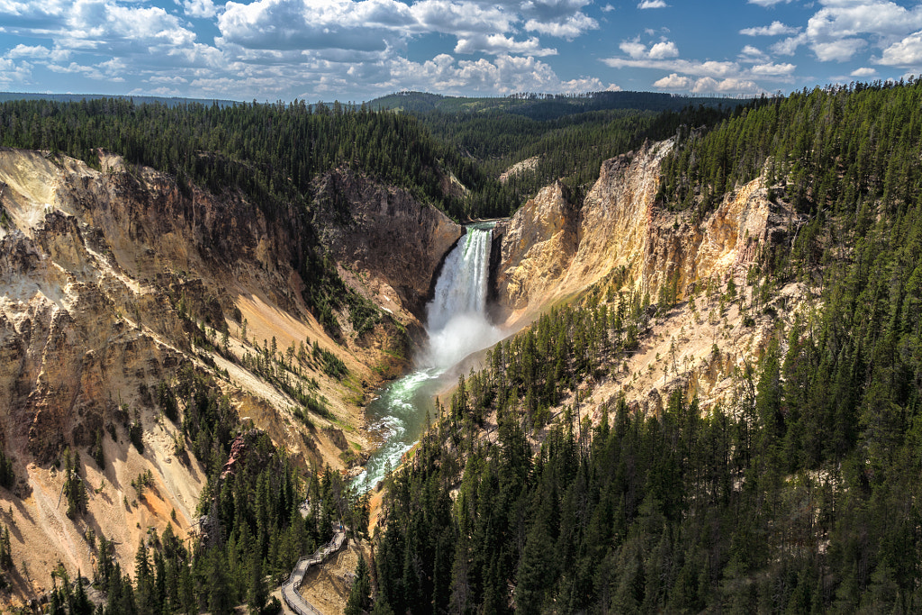 Yellowstone - Lower Falls by Steven Blackmon / 500px