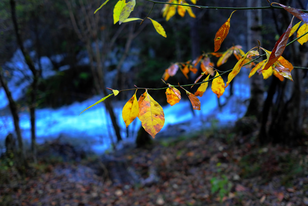 Autumn rain by hin stone （石） / 500px