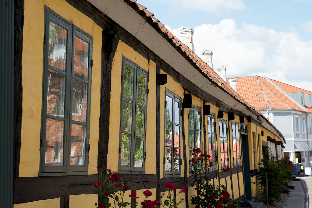 Windows alignment by Frederick Fradet / 500px