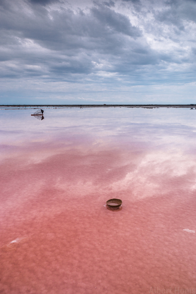 ...Le Salin de l'île Saint Martin à Gruissan!? by Albert Homs / 500px