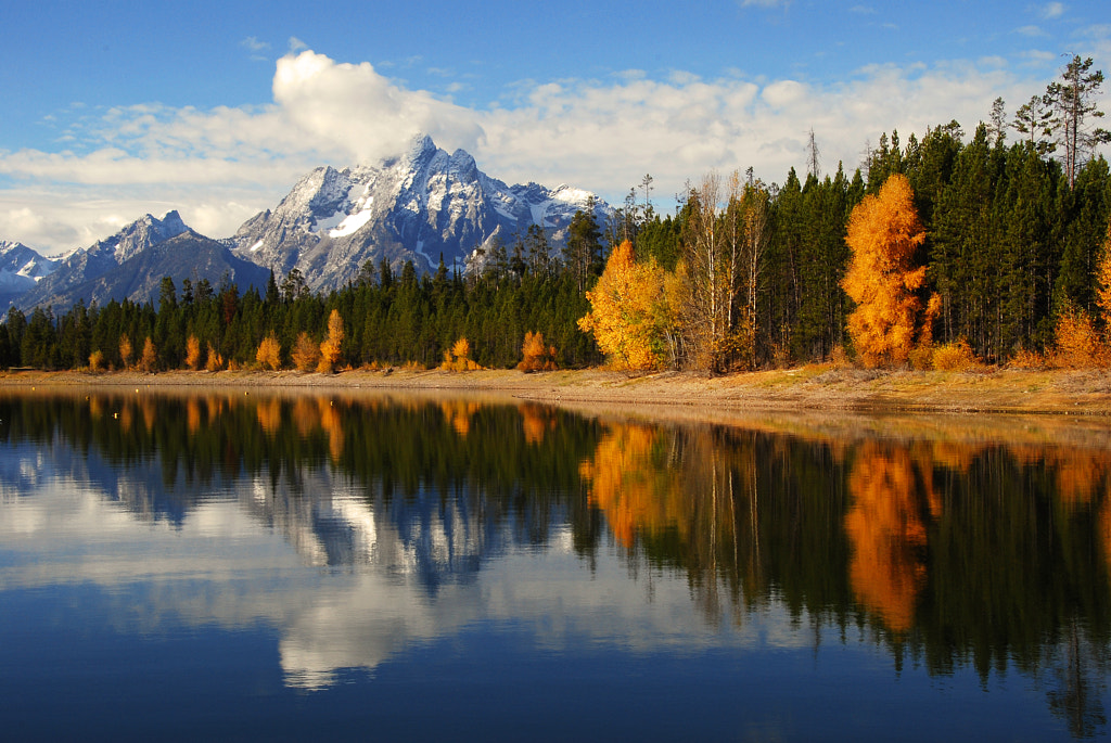 Autumn Splender by Gerald Neufeld / 500px