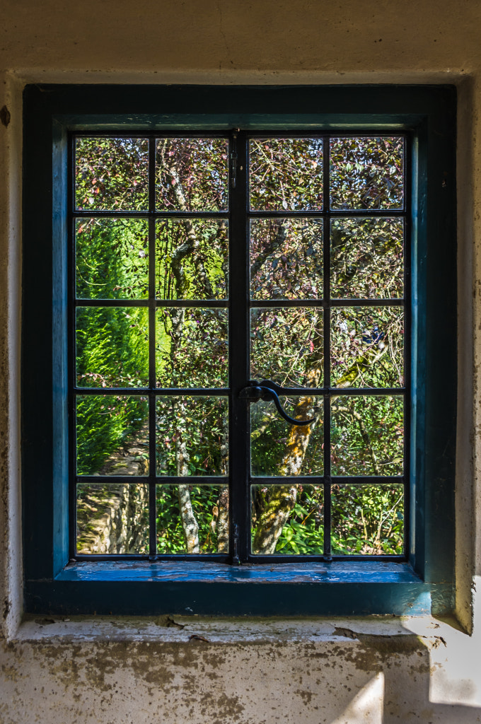 Room with a view by Larry Van Howe / 500px
