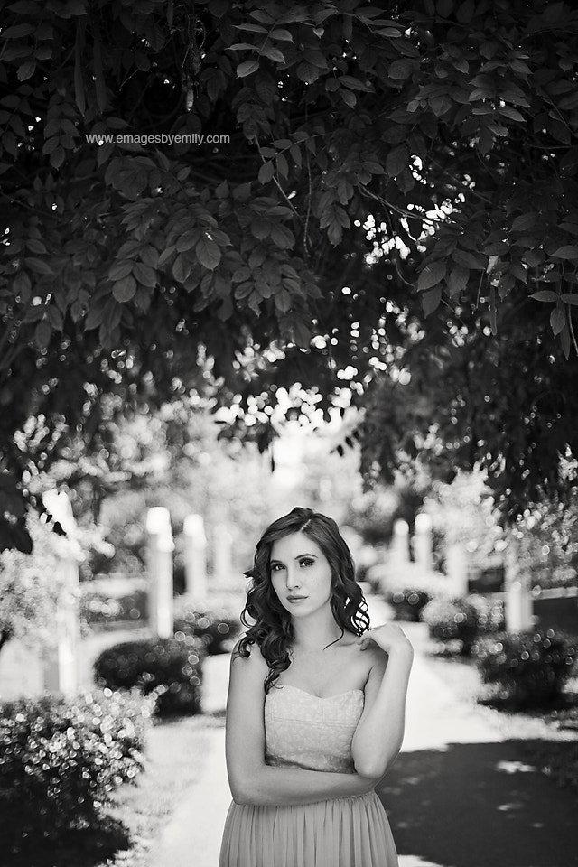 Secret Garden by Emily Thomas / 500px