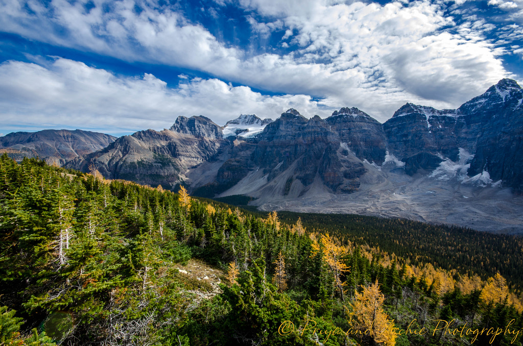 Valley of gold by Priya and Archie Photography / 500px