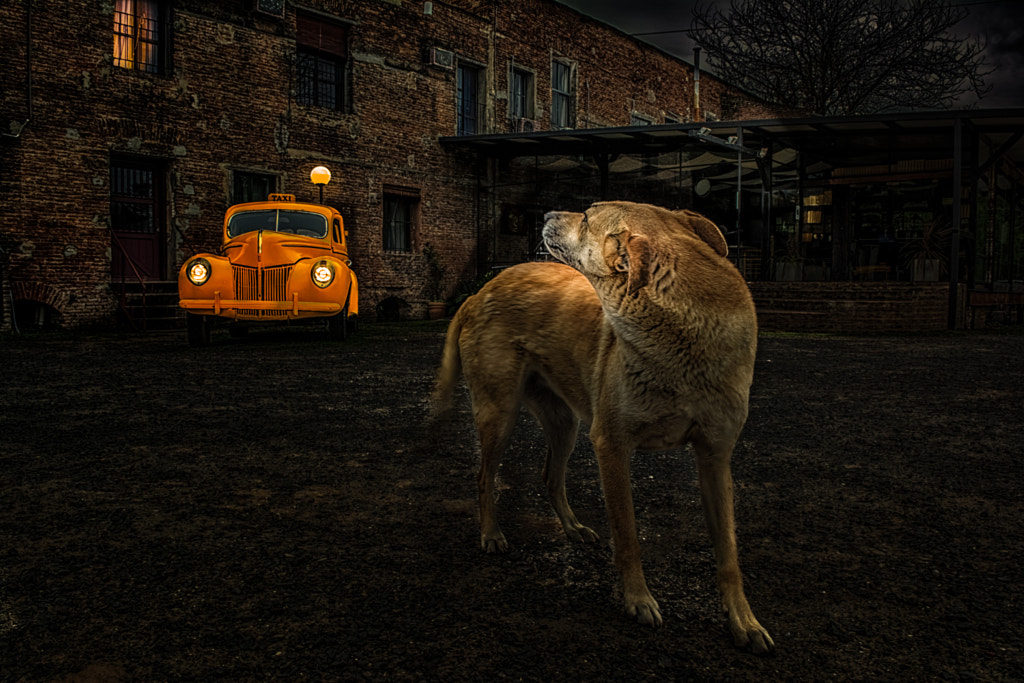 My Friends. by Adrián Arca | 500px