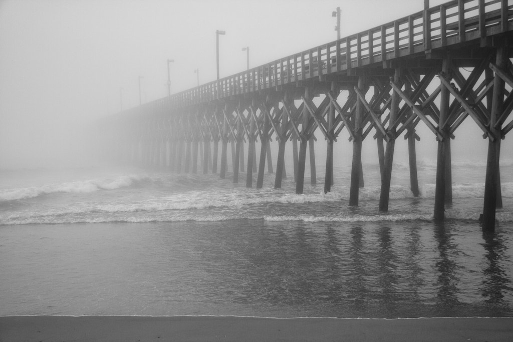 misty morning by Dave Rohrer / 500px