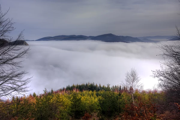 Sea of clouds by Drago Bojkov | 500px