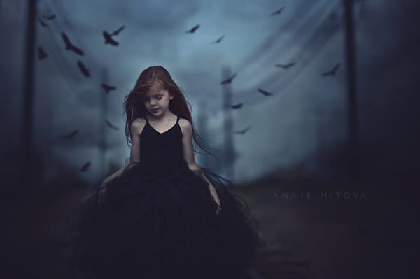 The Black Hummingbird by Annie Mitova | 500px