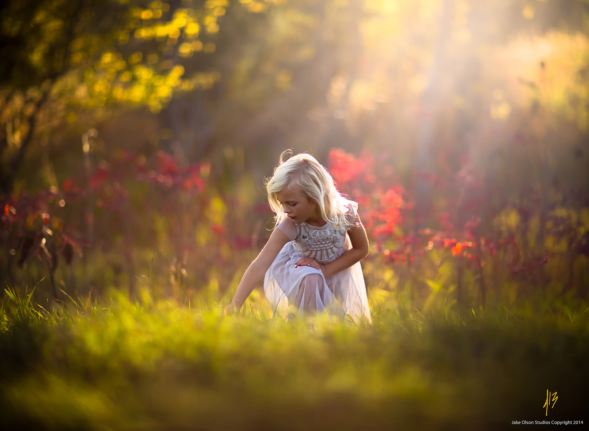 Autumn Light by Jake Olson Studios / 500px