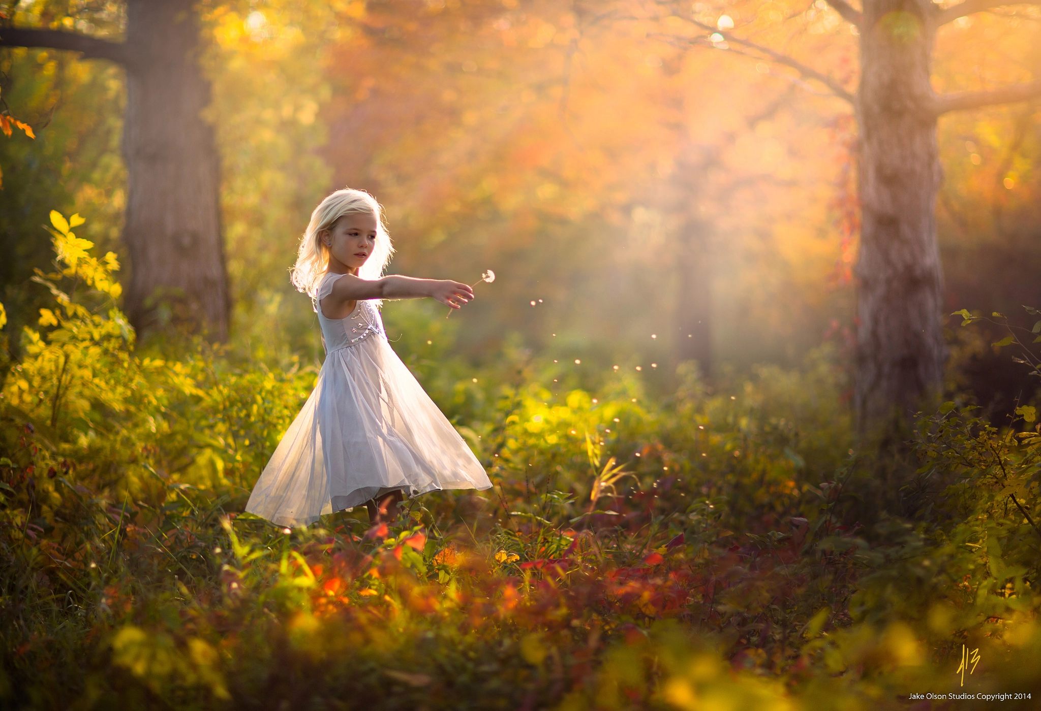 Beautiful by Jake Olson Studios / 500px