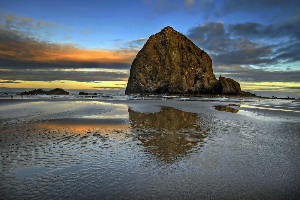 Haystack Rock in Cannon Beach Oregon by David Gn / 500px