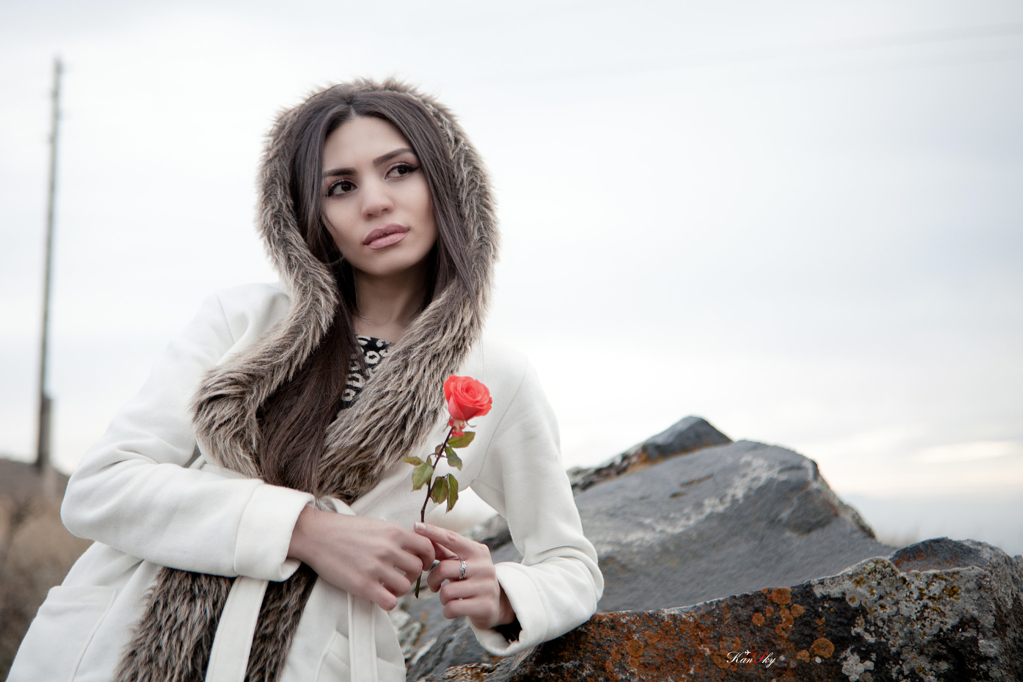 steppe flower by KanSky / 500px