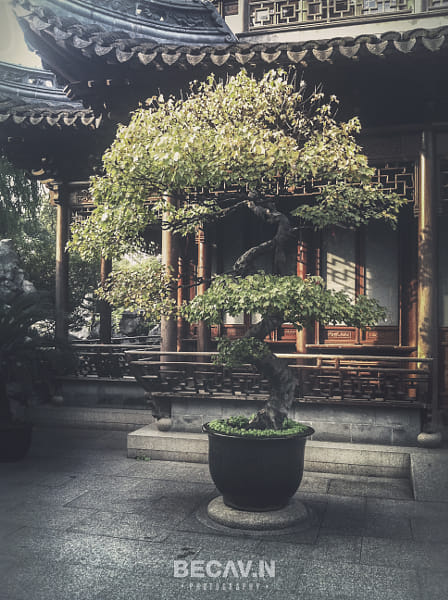 Yuyuan Garden by Edouard BECAVIN | 500px