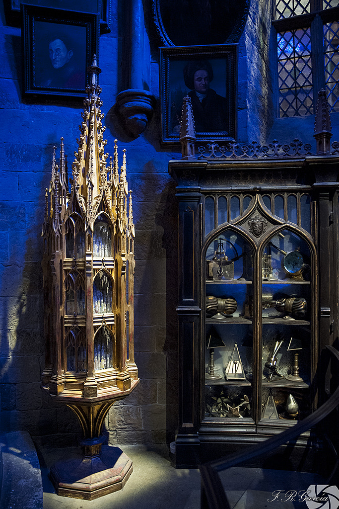 Hogwarts stuff, Dumbledore's office by Paco Garcia / 500px