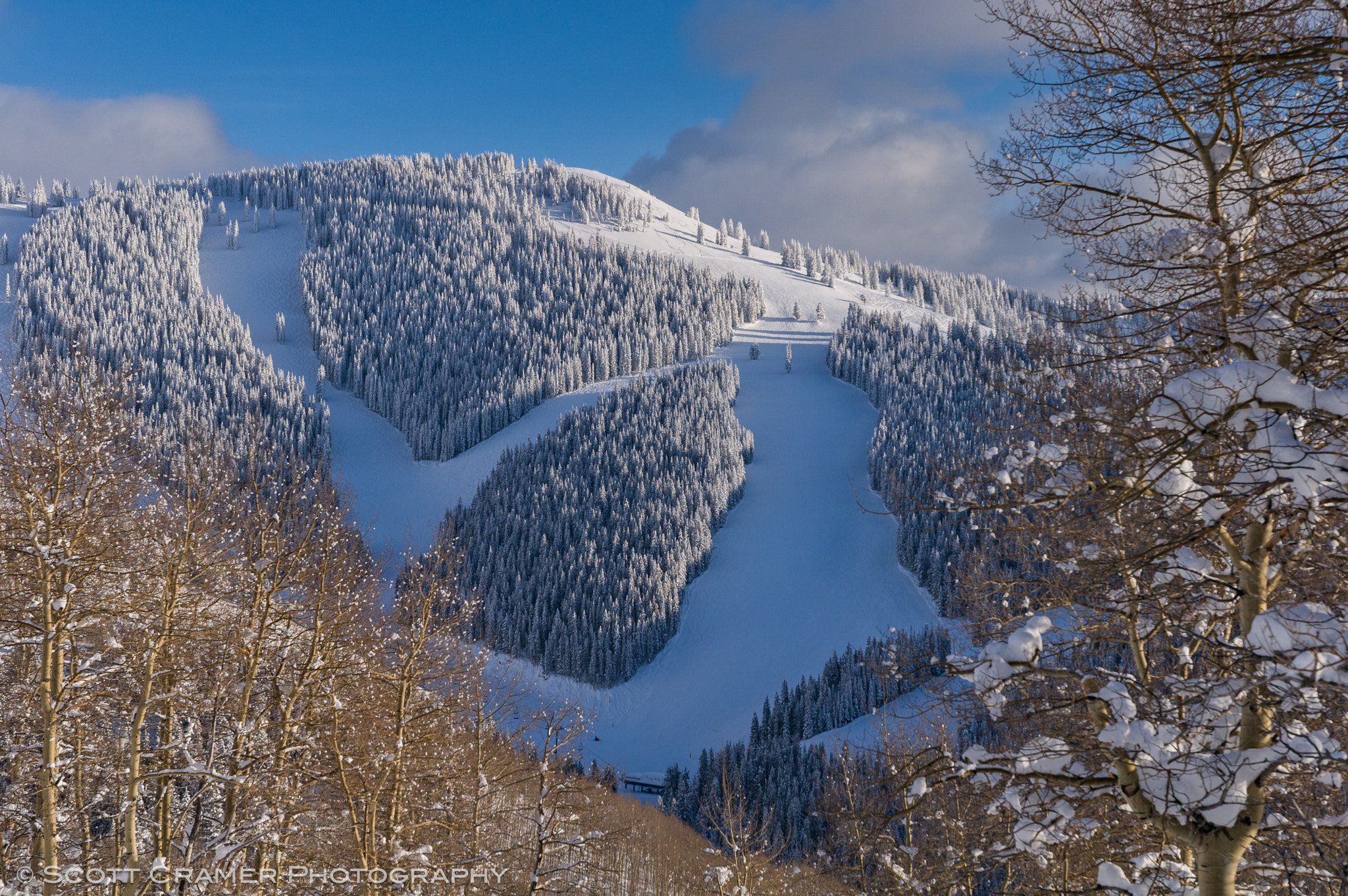 Frosted Trees at Vail Winter Landscape by Scott Cramer Photography ...
