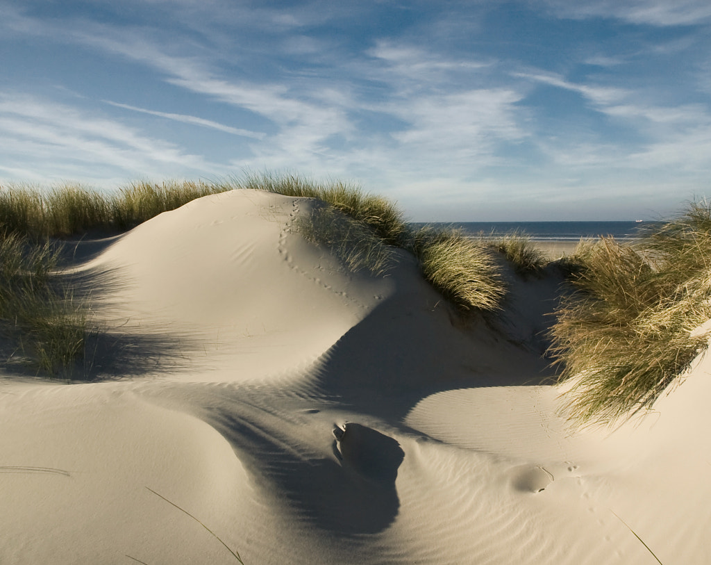 Natural Curves by Daniel Bosma / 500px