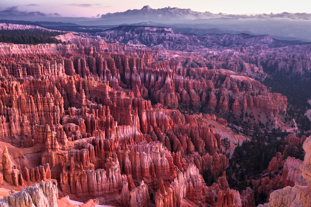 Hoodoos from Inspiration Point by Kotomi Ito / 500px