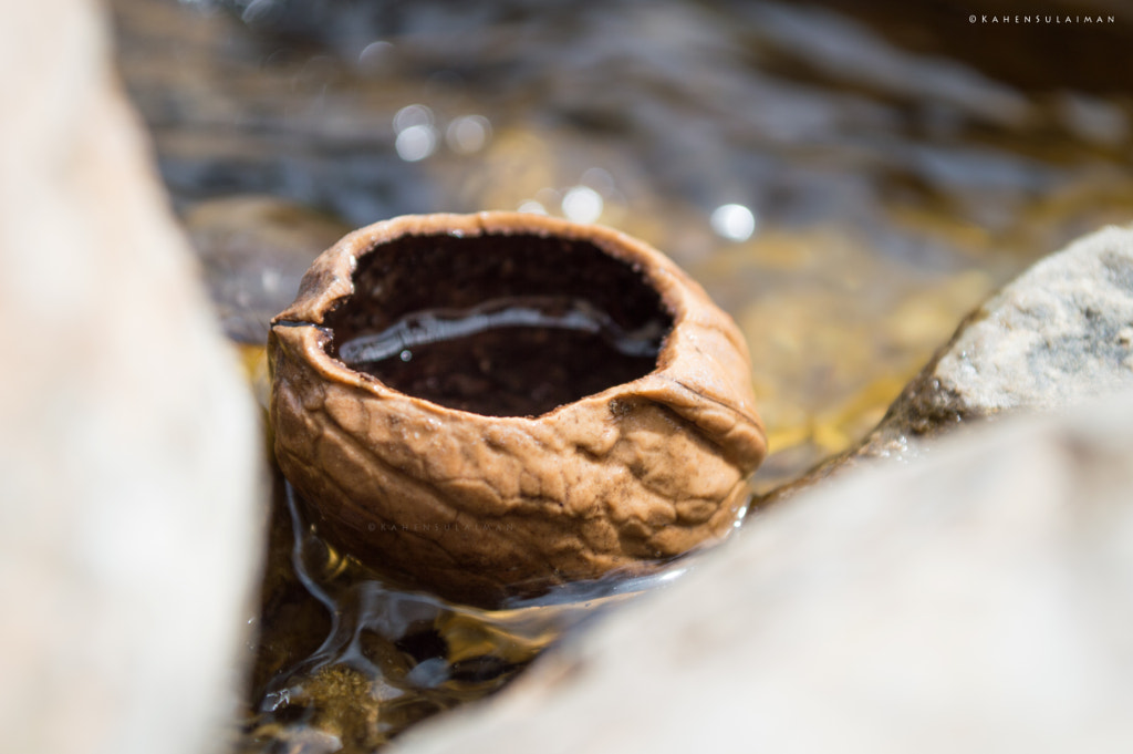WalNut Ship by Kahen sulaiman / 500px