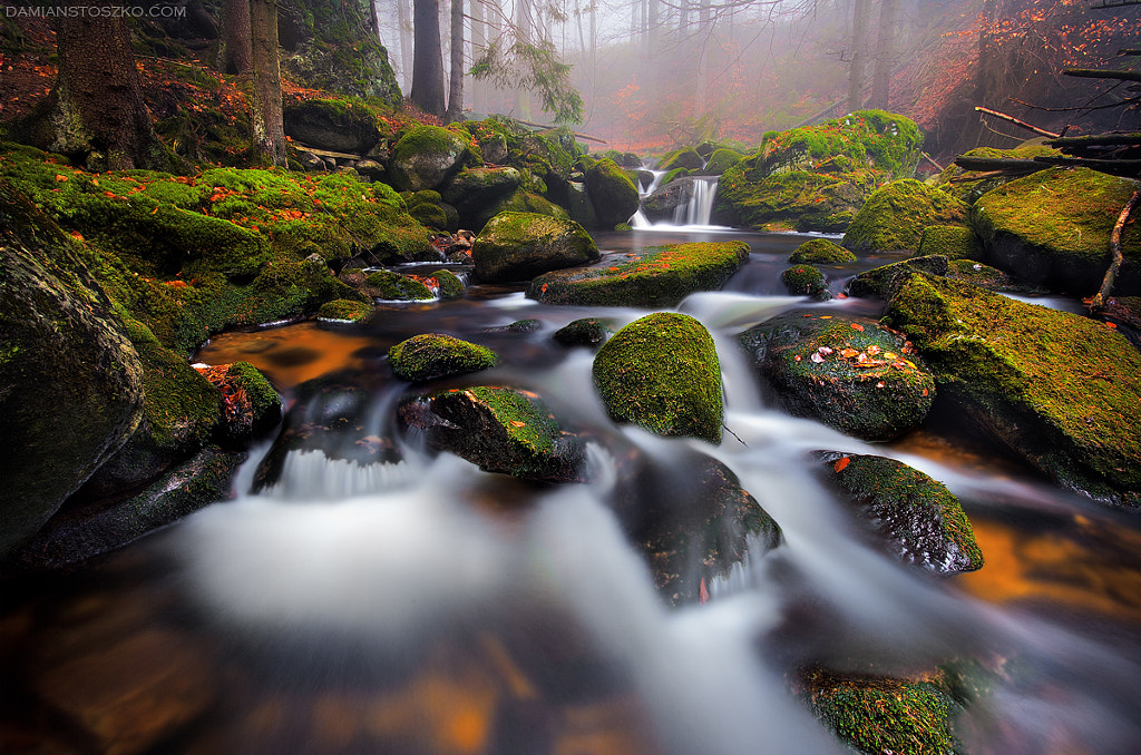 Autumn Flow by Damian Stoszko / 500px