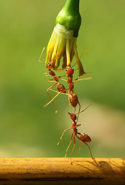 team work by Angga Ra Putra | 500px