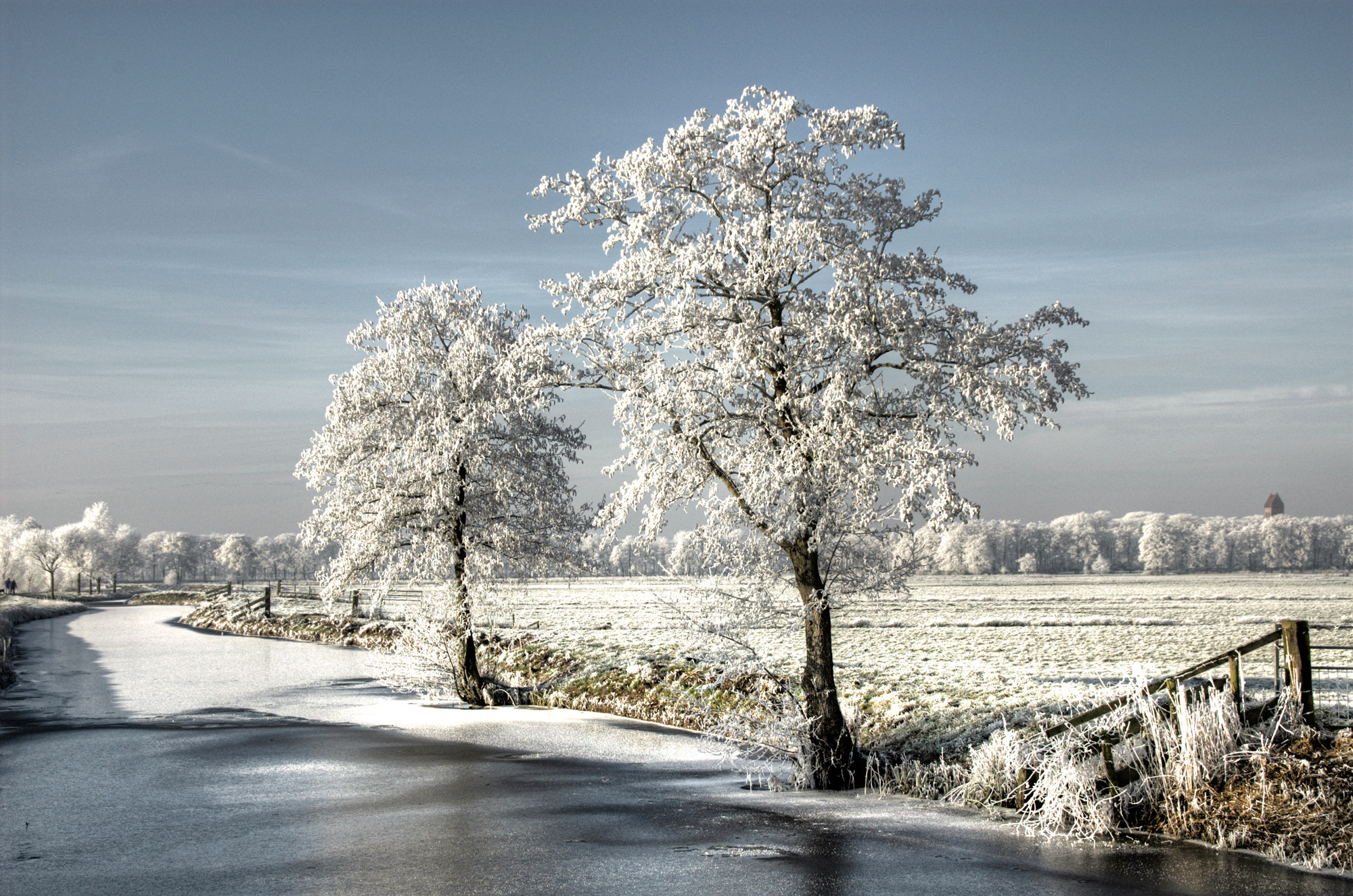 Frosty Day by Daniel Bosma / 500px