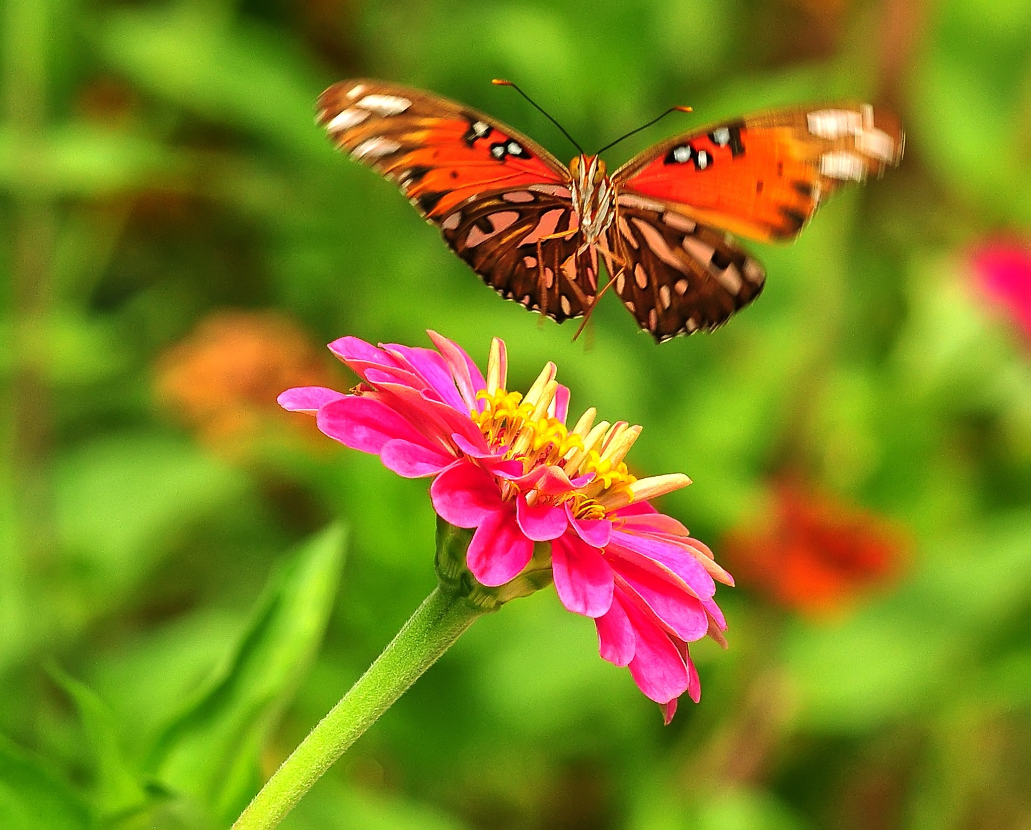 Soft Landing by Jeff Clow / 500px