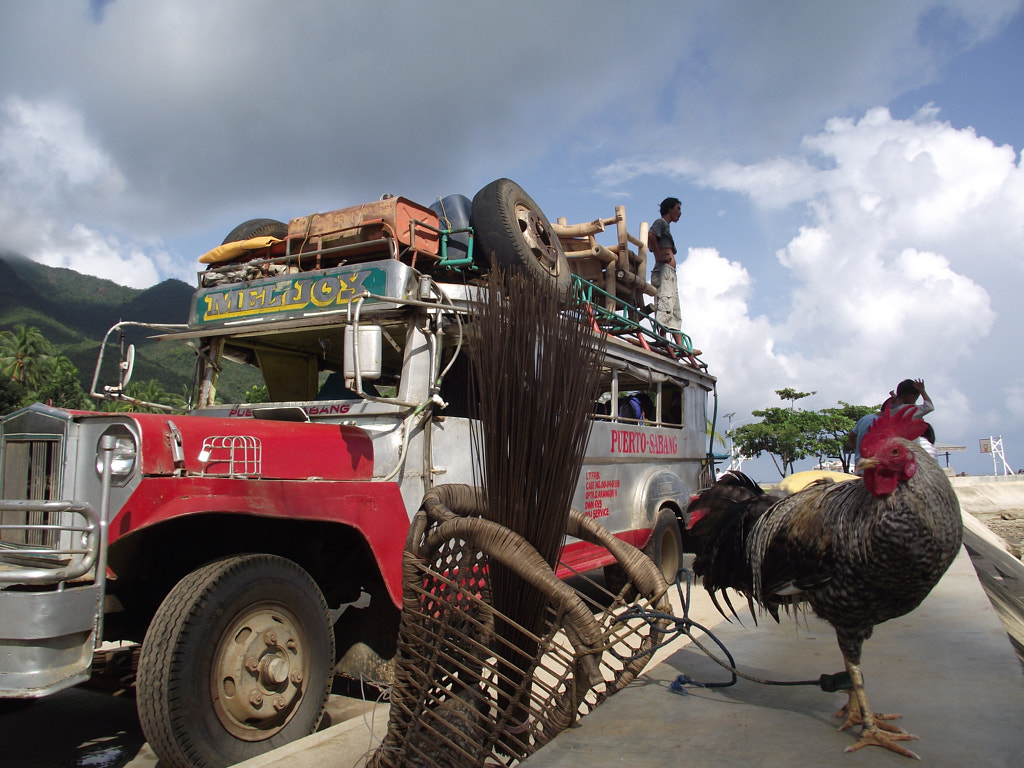 A rooster and a jeepney in the Philippines by Gabriel Morris / 500px