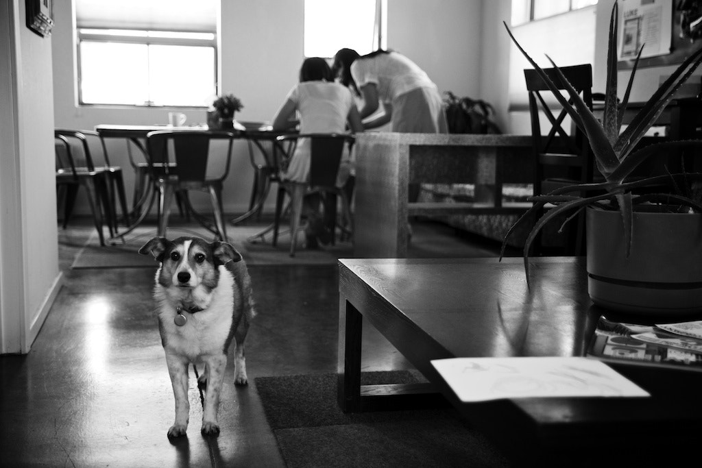 Is it lunchtime yet? by David Moore / 500px