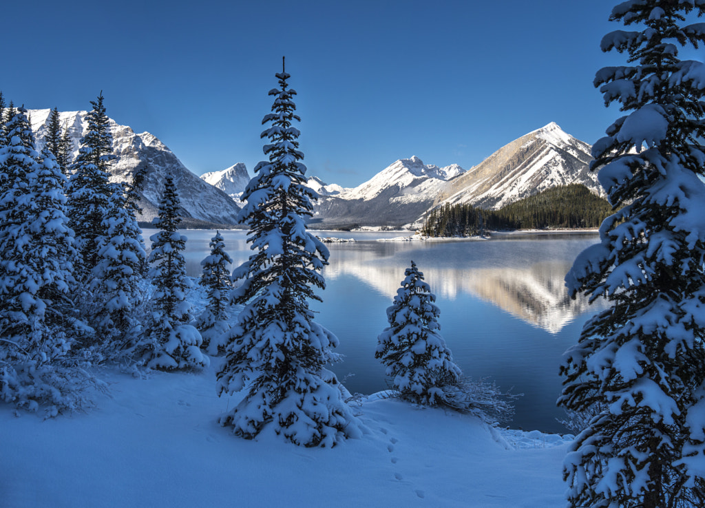 Early winter in Kananaskis by Catalin Mitrache / 500px