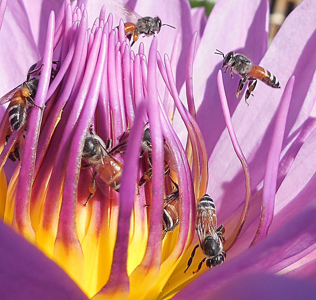 The meeting by Scott Innes / 500px